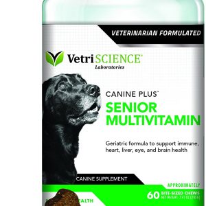 Westie Lifespan and Caring for an Aging Westie