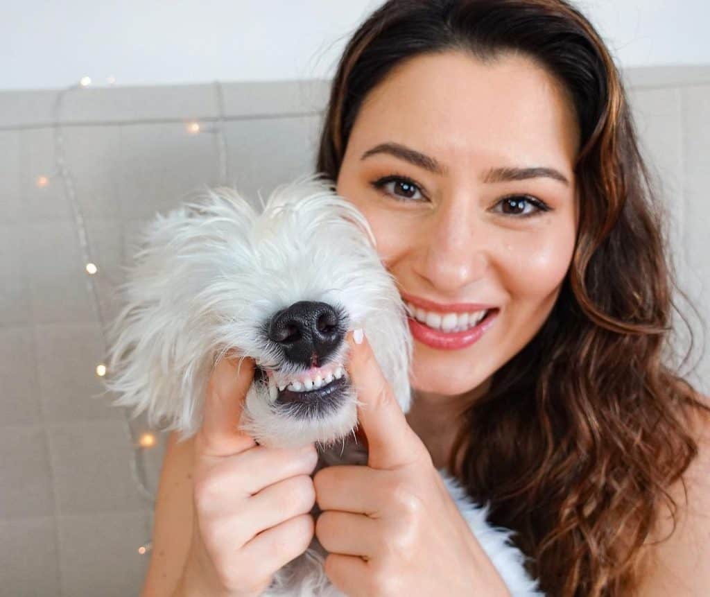 Do Dogs Laugh? Do Dogs Wanna Make YOU Laugh?